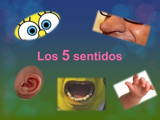 Presentación power point "Los 5 sentidos" | PPT