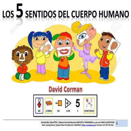 Los 5 sentidos | PDF