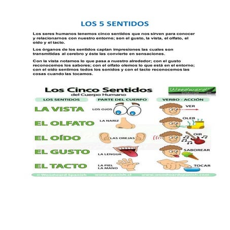 Los 5 sentidos | DOCX