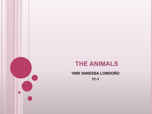 Animals third grade | PPTX