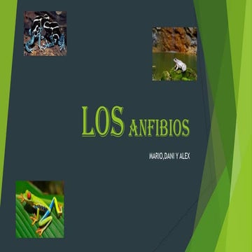 PresentacióN Anfibios | PPT