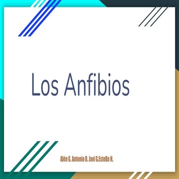 Los anfibios | PPT