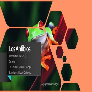 Los anfibios | PPTX