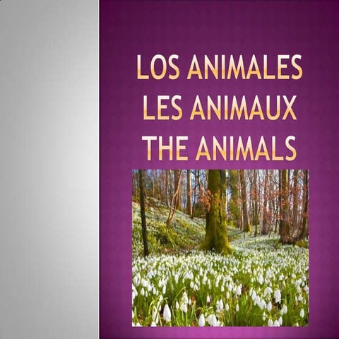 Los animales | PPT
