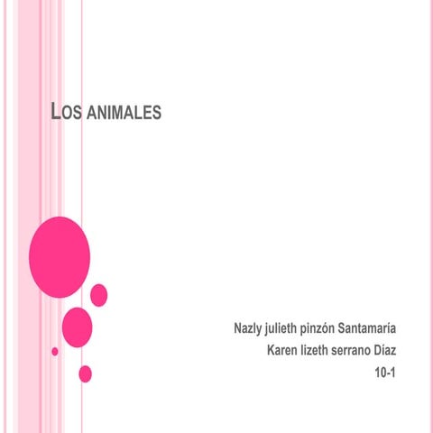 Perros y gatos | PPT