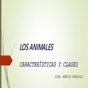 Los animales | PPTX