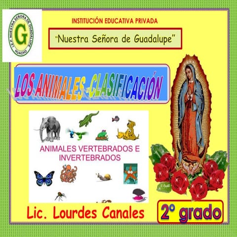 Los animales clasificación 2º | PPTX