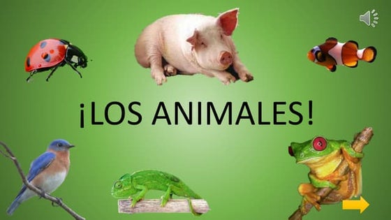 Secuencia de actividades de "Los animales" | PDF