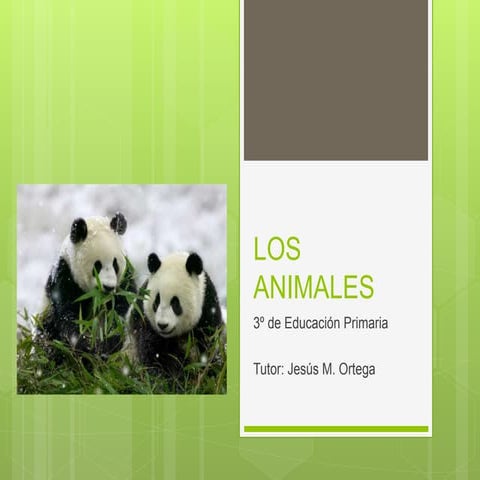Animales | PPT