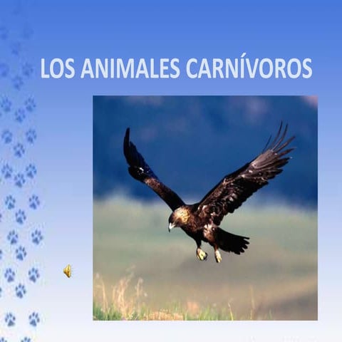Los animales carnívoros. Búsqueda de información. | PPSX