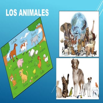 Los animales. | PPTX
