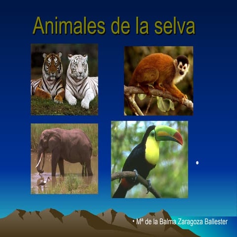 Lista De Animales De La Selva Tropical Con Nombres 15 Animales De La