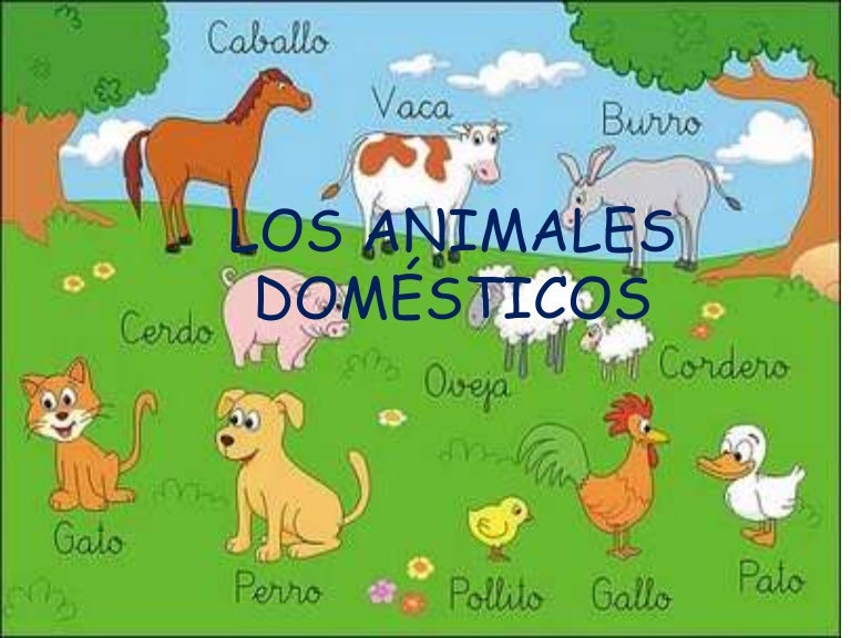 Los animales domesticos