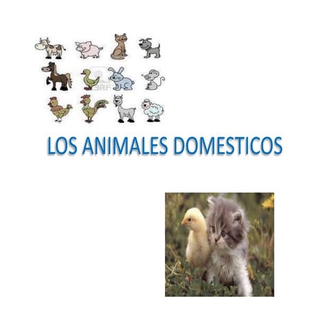 Los animales domesticos | PPTX