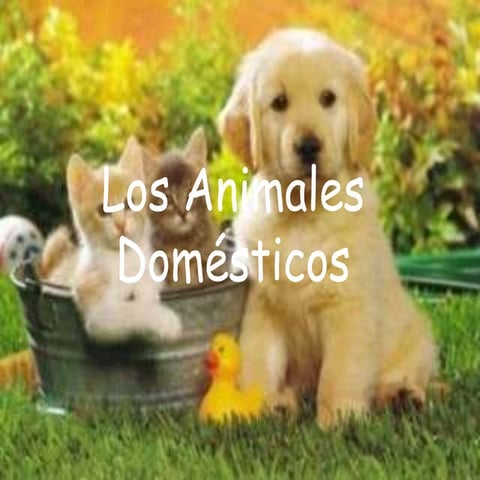 Los animales domésticos | PPTX