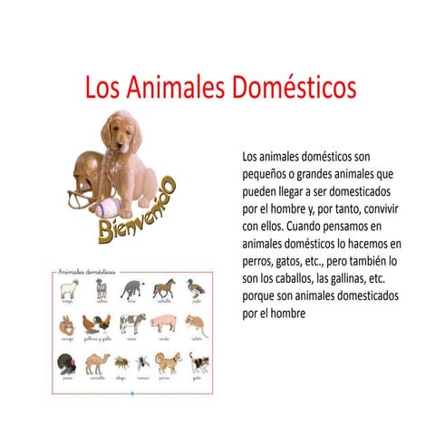 Los animales domésticos | PPT