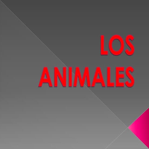 Los Animales Power Point | PPTX