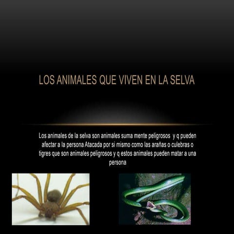 Los animales de la selva | PPT