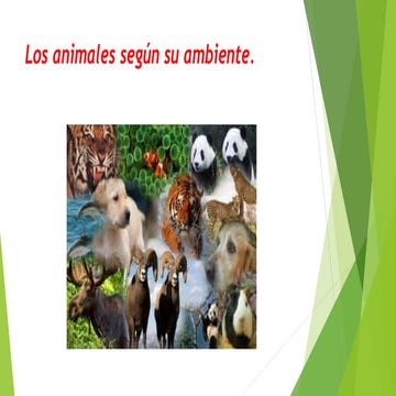 Los animales según su ambiente | PPTX