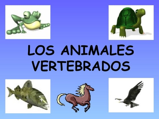 Mapa Conceptual Animales Vertebrados | DOC
