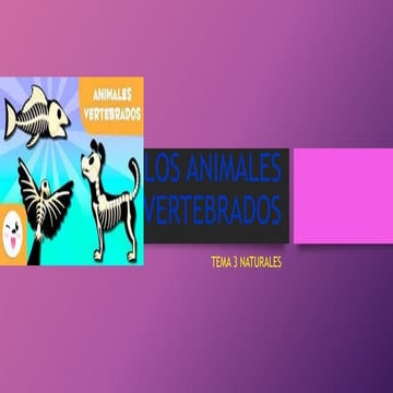 Los Animales | PPT