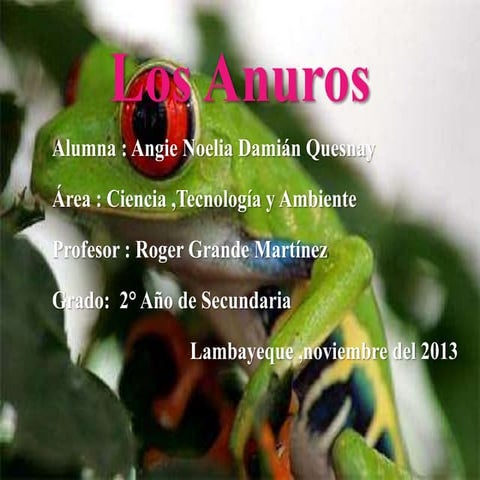 LOS ANUROS O ANFIBIOS | PPTX