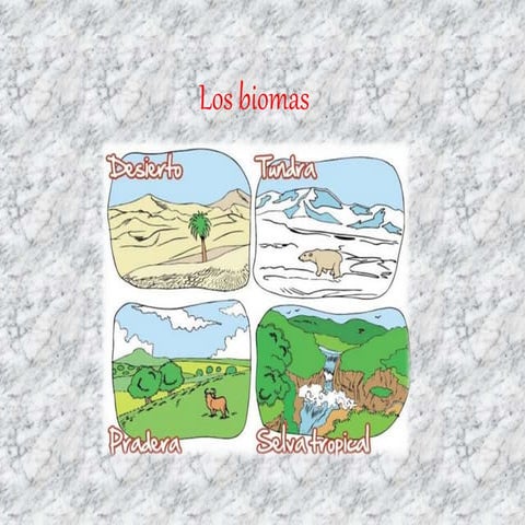 Los biomas | PPT
