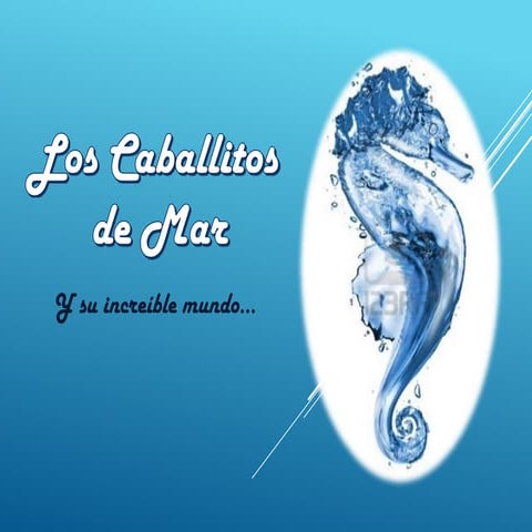 Los caballitos de mar | PPTX