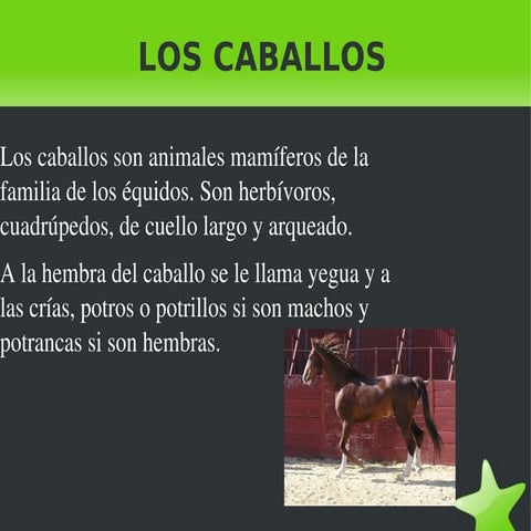 Los caballos | ODP
