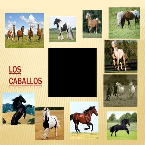 Los caballos | PPTX