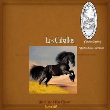 01 Adiestramiento del caballo básico.pdf