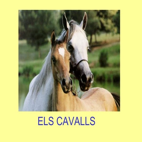 els cavalls | PPT
