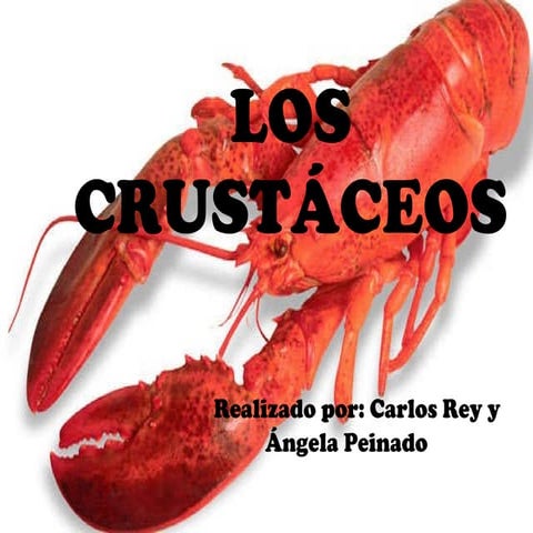 Los crustáceos | PPT