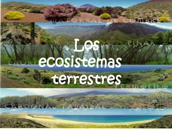 Ecosistemas Terrestres Ecosistemas Terrestres Y Reducción De