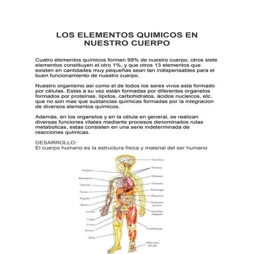Los elementos quimicos en nuestro cuerpo | DOCX