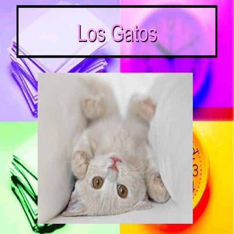 Los gatos | PPT