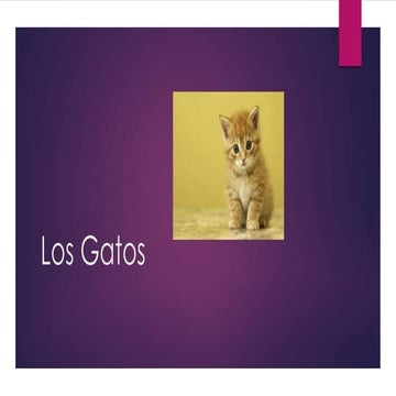 Los gatos | PPTX