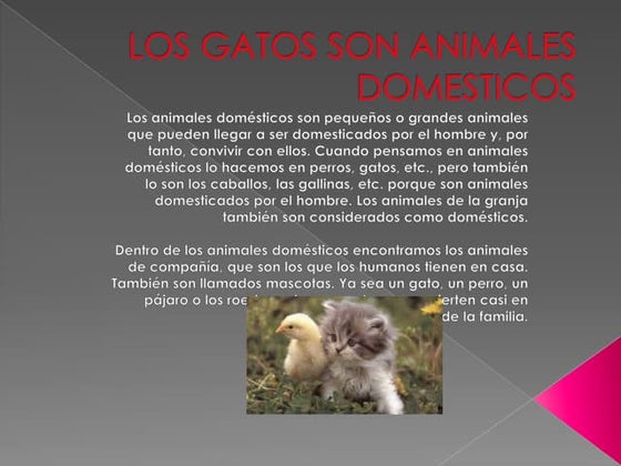 Animales domesticos | PPT