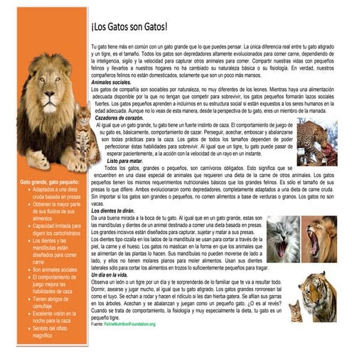 Wishes and Regrets | PPTX