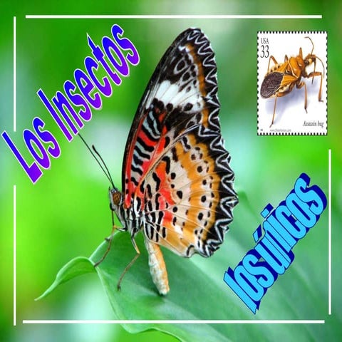 Los insectos | PPT
