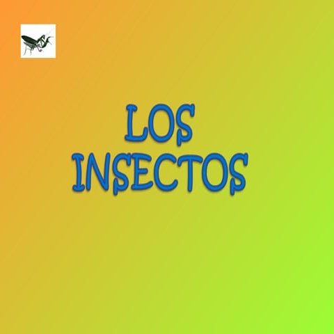 Los insectos | PPT