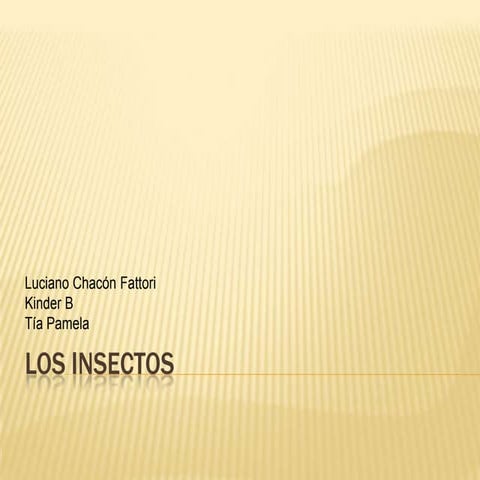 Los insectos | PPTX