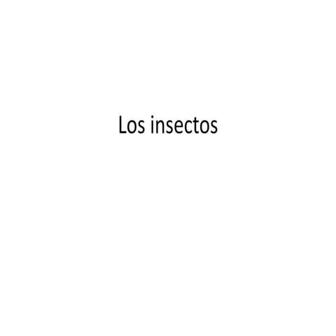 Los insectos | PPTX