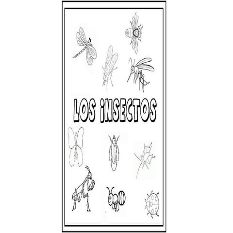 Los insectos | PPTX