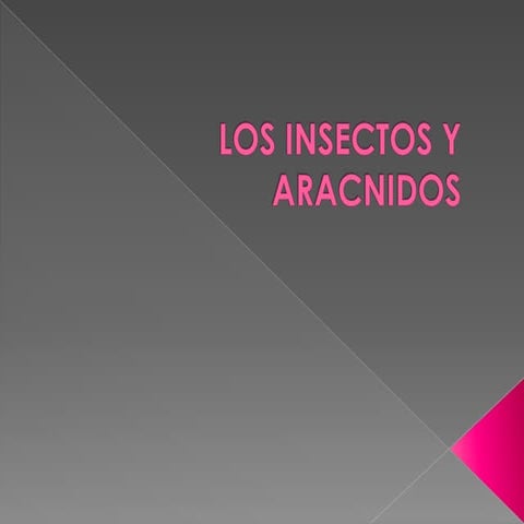 Los insectos y aracnidos | PPTX