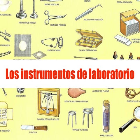 MI RESPUESTA: INSTRUMENTOS DE LABORATORIO, 43% OFF