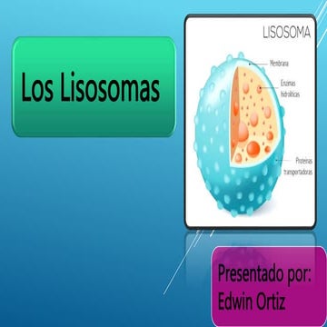 Los Lisosomas.pptx