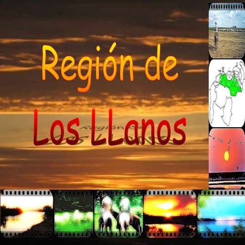 Los llanos y la Llanura Deltaica | PPTX