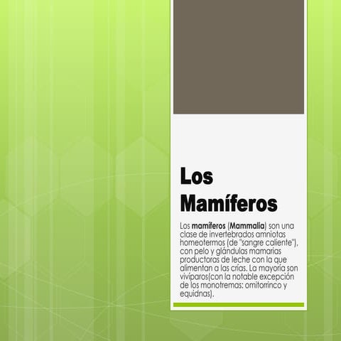 Mamiferos | PPTX