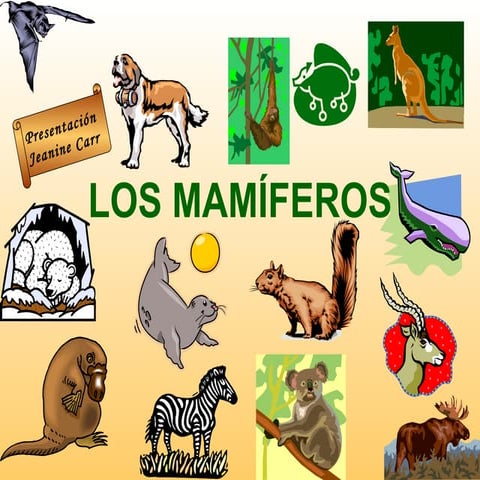 Animales Mamiferos